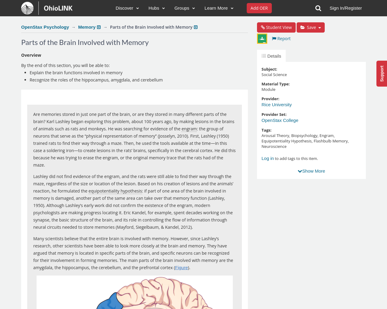 OpenStax Psychology, Memory, Parts of the Brain Involved with Memory ...