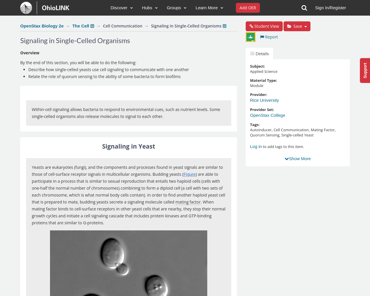 OpenStax Biology 2e, The Cell, Cell Communication, Signaling in Single ...