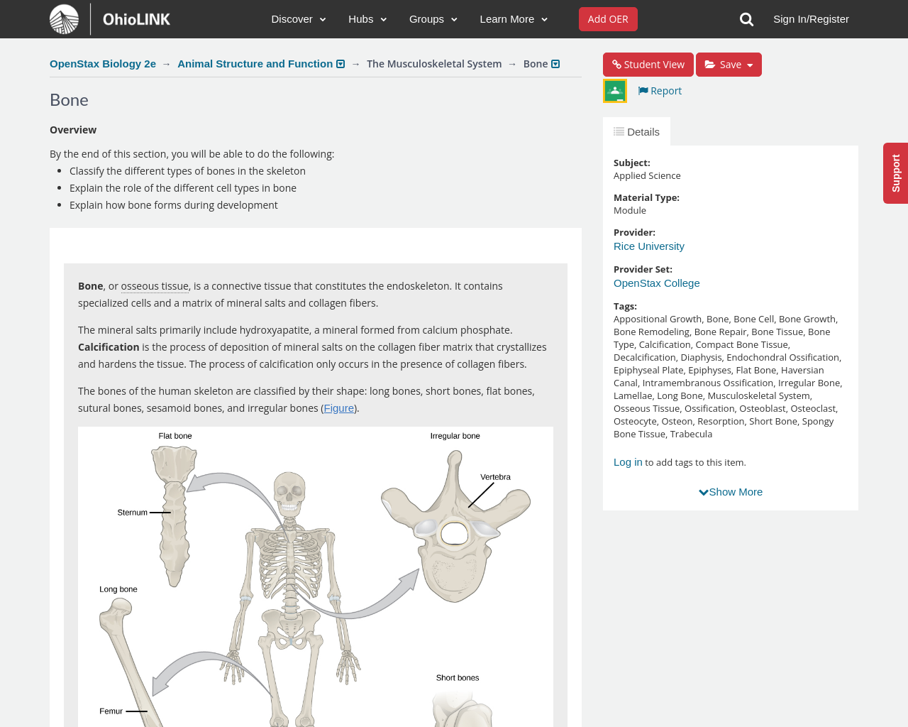 OpenStax Biology 2e, Animal Structure and Function, The Musculoskeletal ...
