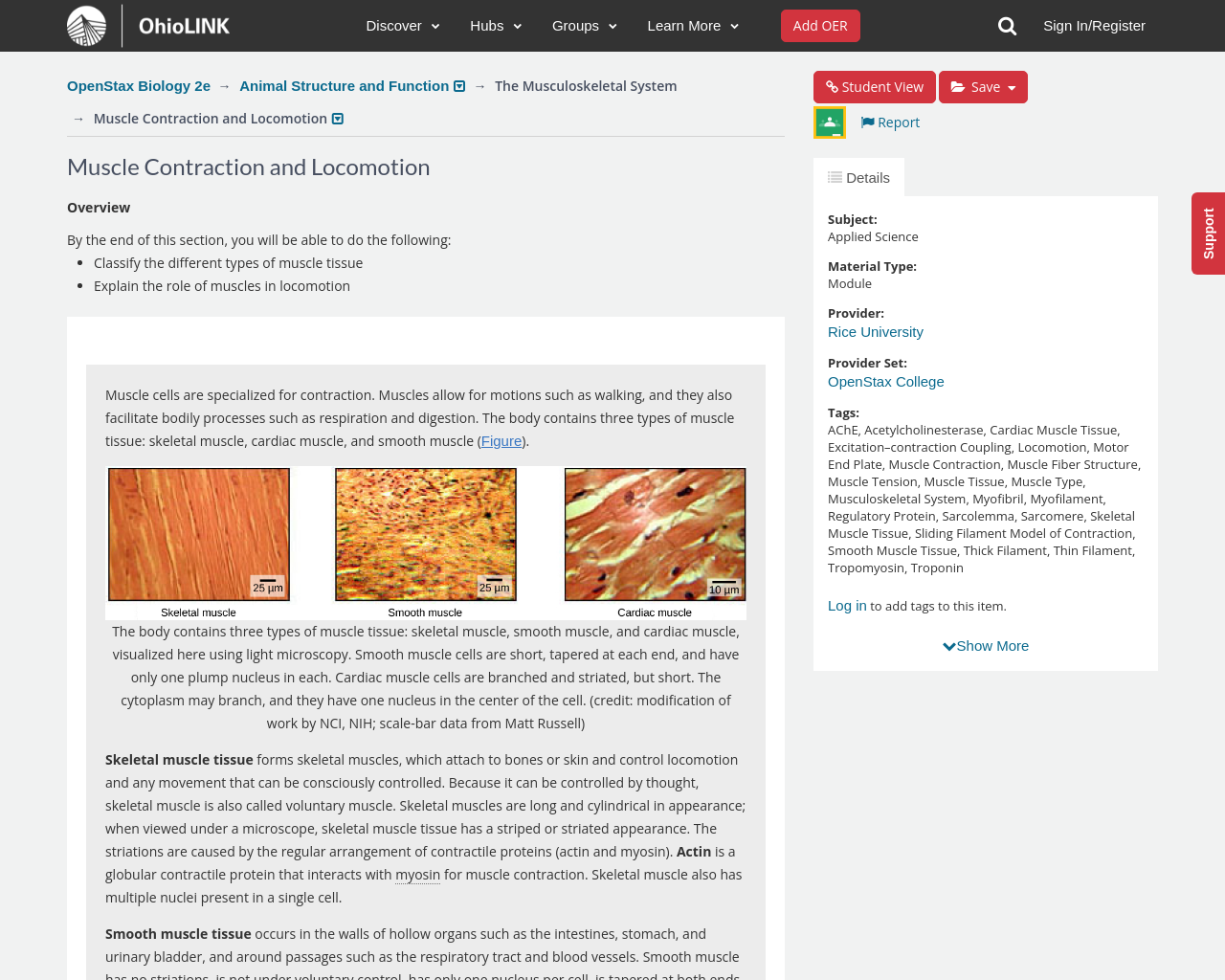 OpenStax Biology 2e, Animal Structure and Function, The Musculoskeletal ...